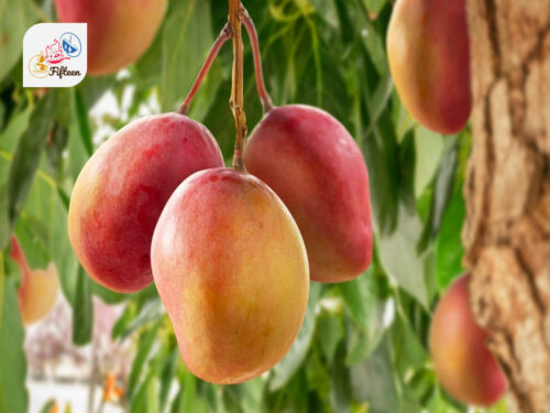 19 Guatemalan Fruits: Native, Popular, Exotic, and More