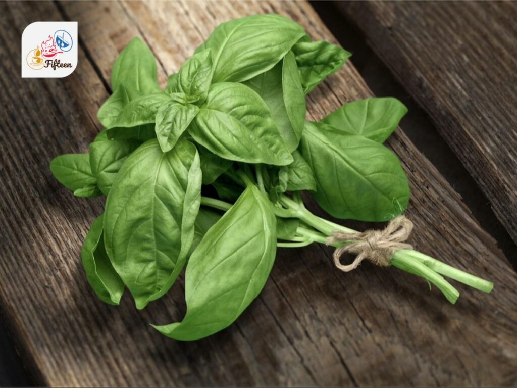 20 Common Vegetables Starting with B From Diverse Types