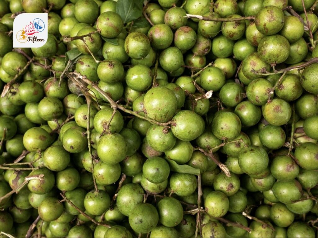 32 Native and Popular Central American Fruits to Try