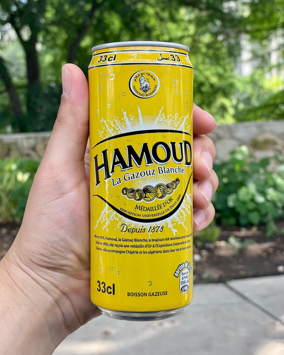 6 Algerian Traditional and Popular Beverages