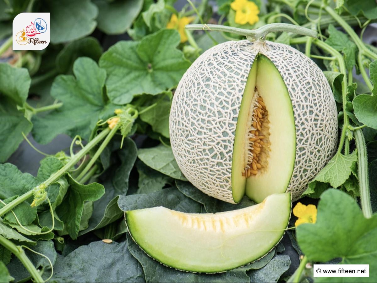 27 Fruits That Start With H in Black, Blue, Green, and More