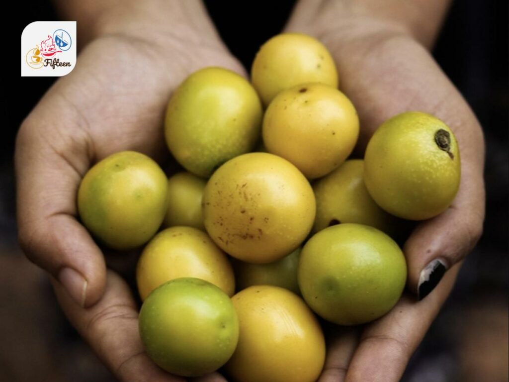 34 Fruits That Start With L: Popular Tropical Delights