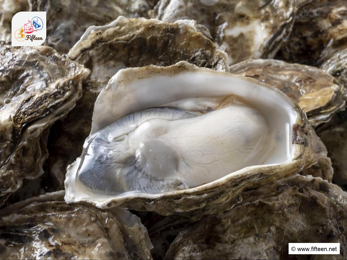 58 Foods Beginning With O Featuring Diverse Options