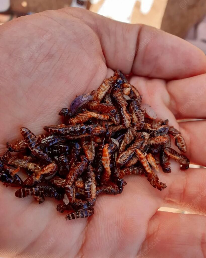 20 Typical Ugandan Dishes: From Traditional to Street Food