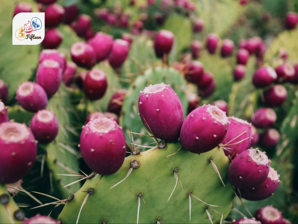 23 Caribbean Fruits: Common and Exotic Tropical Flavors