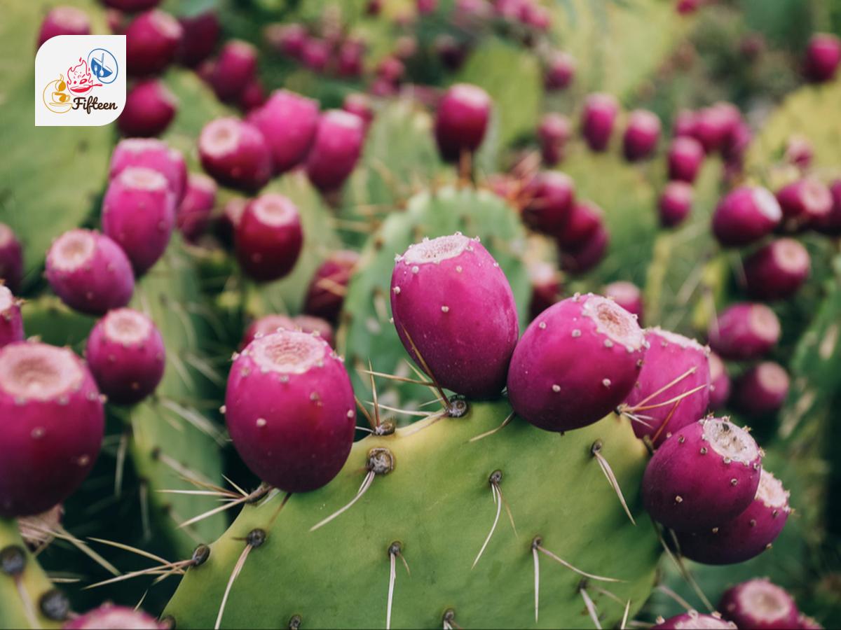 23 Caribbean Fruits: Common and Exotic Tropical Flavors