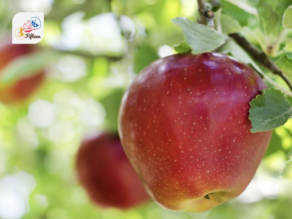 29 Best Red Fruits for Your Health