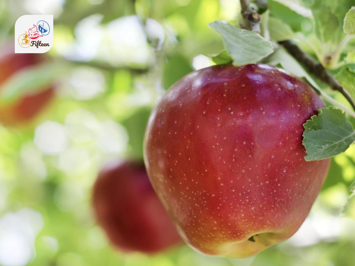 29 Best Red Fruits for Your Health