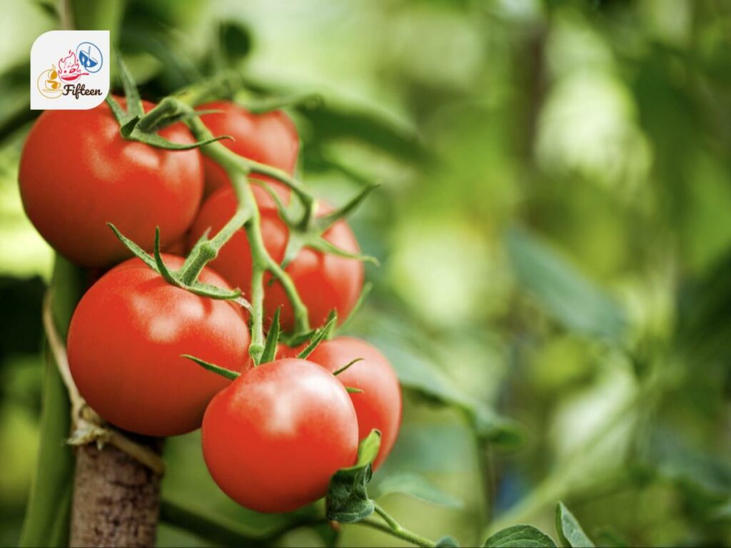 24 Middle Eastern Vegetables: Common and Local Favorites