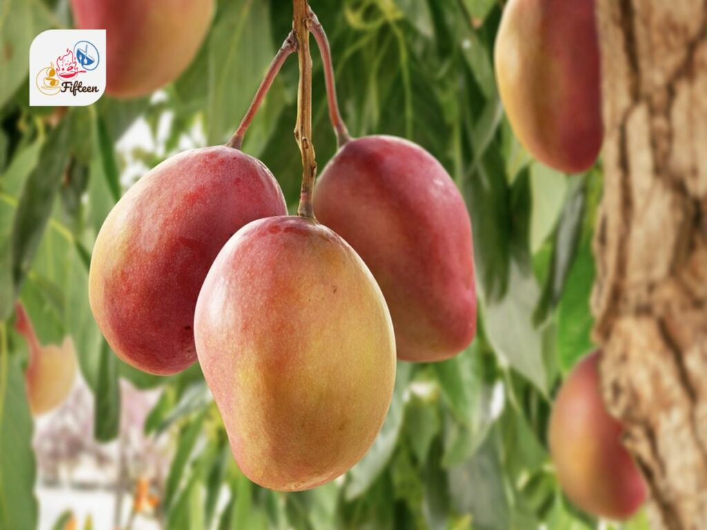 33 Best Spring Fruits: An All-Inclusive List