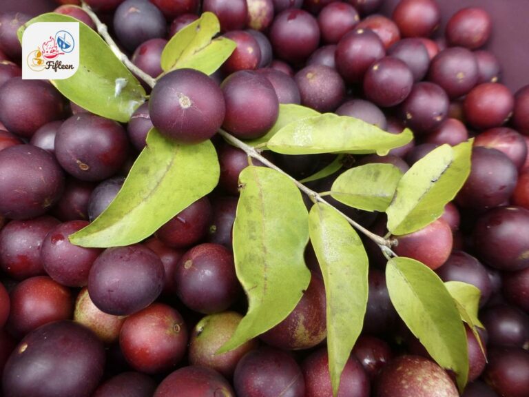 30 Native and Tropical South American Fruits with Images