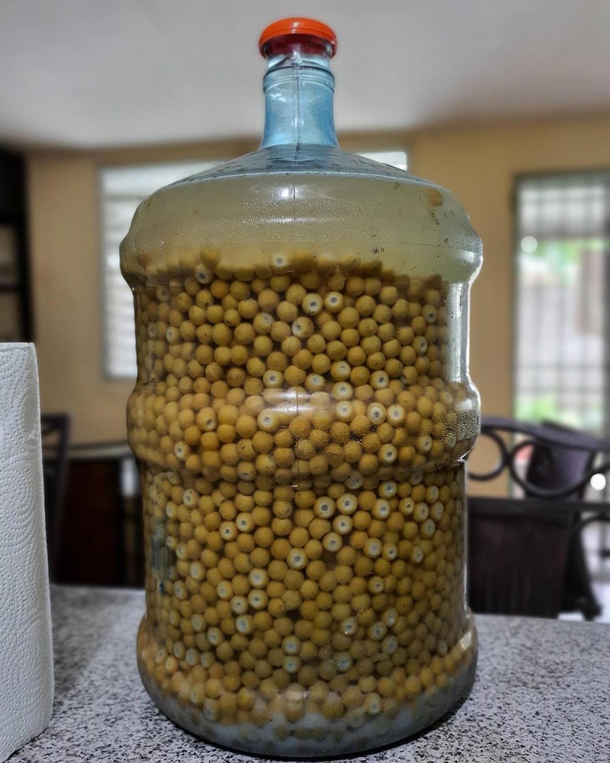 15 Most Popular Panamanian Beverages - Fifteen