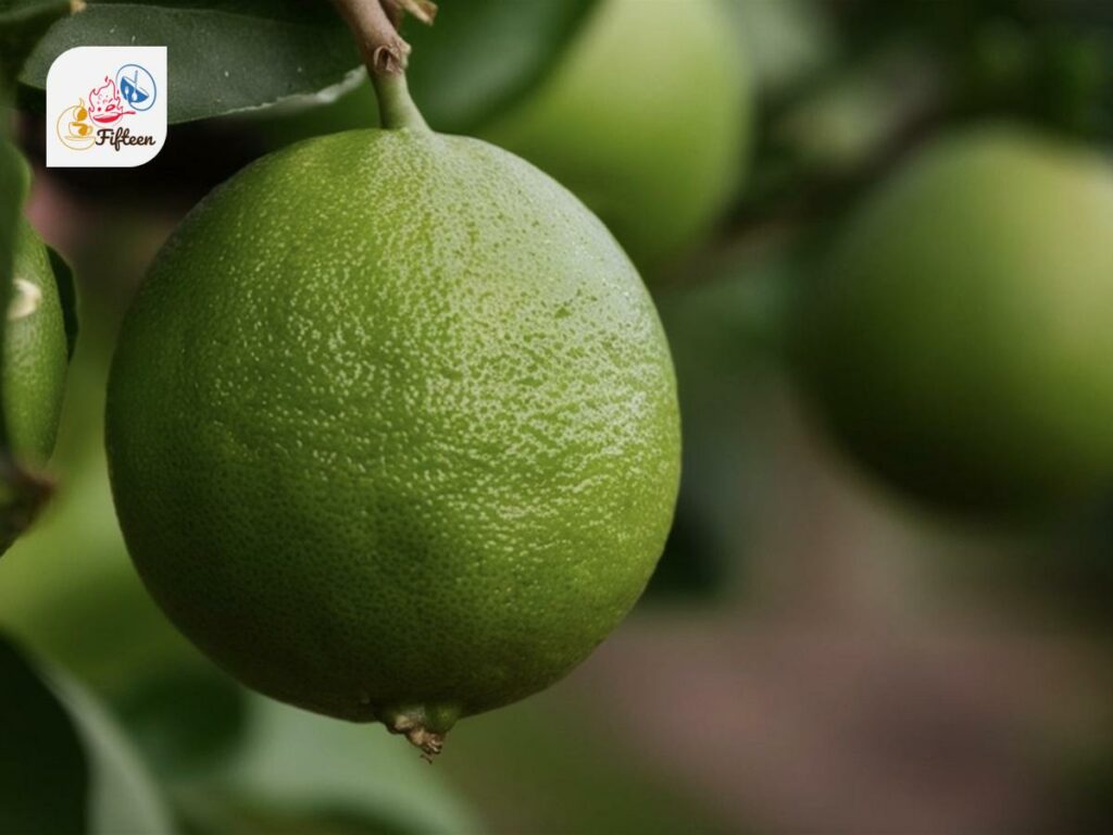 18 Native and Popular Australian Fruits with Pictures