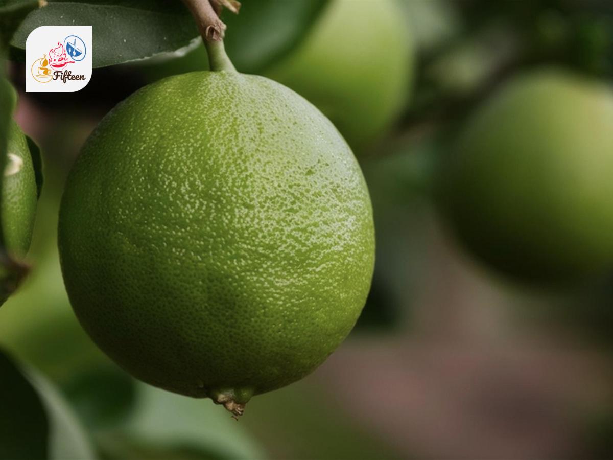 18 Native and Popular Australian Fruits with Pictures