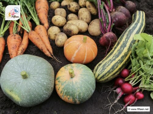 23 Best Fall Vegetables: Types, Colors, and Uses