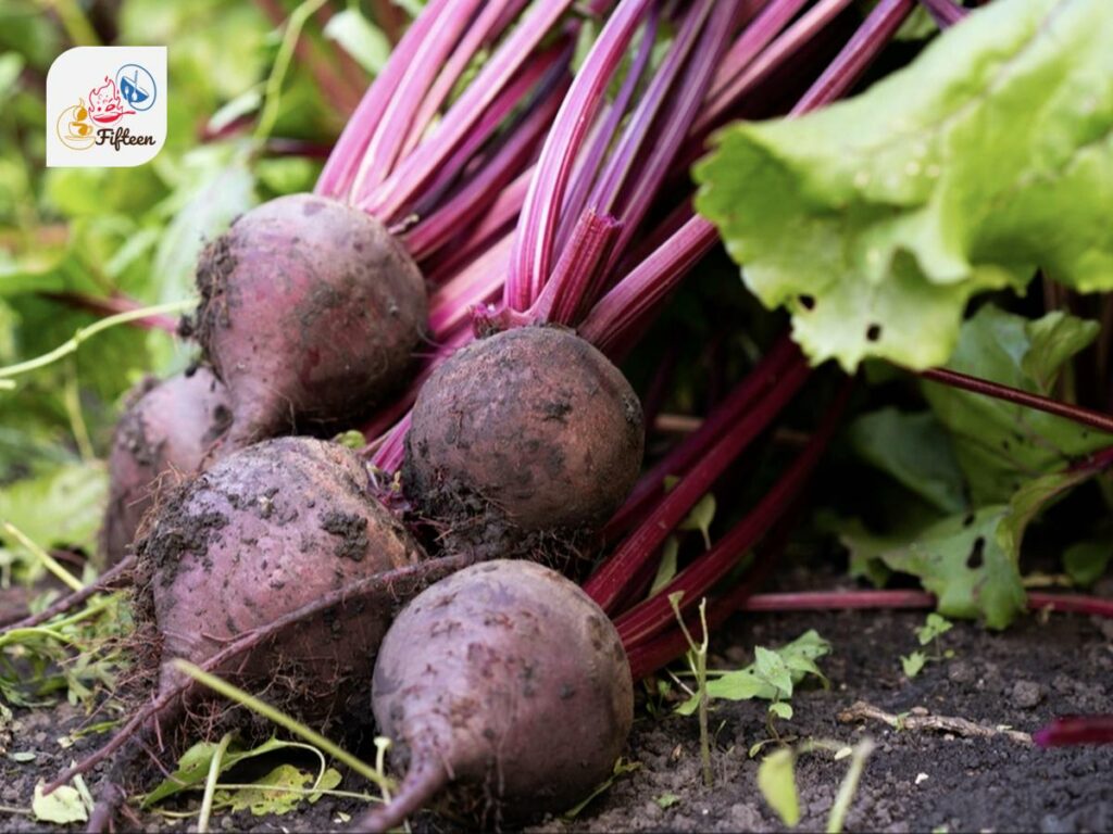 14 Different Red Vegetables