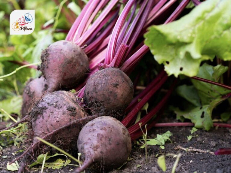 14 Different Red Vegetables