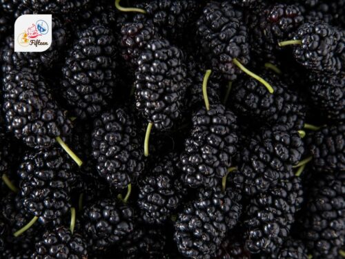 Purple Fruits: 22 Different Types of Fruits