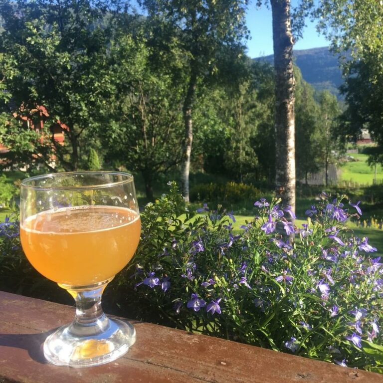 10 Popular and Traditional Norwegian Beverages to Try