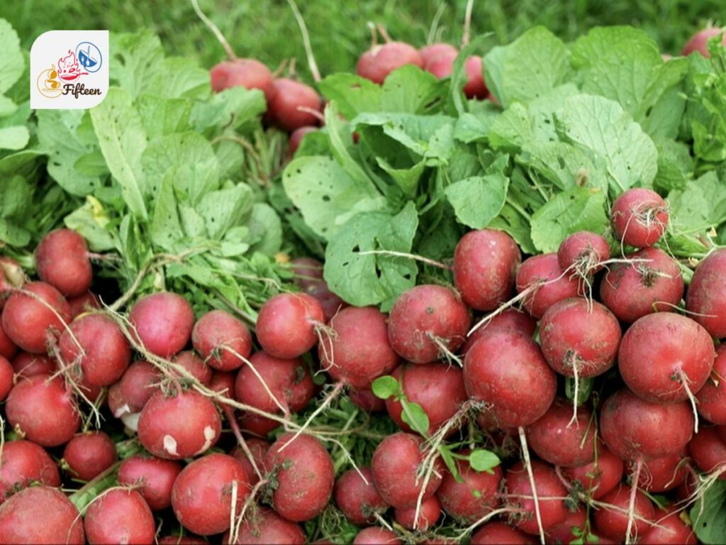 10 Main Types of Vegetables and Their Names with Pictures
