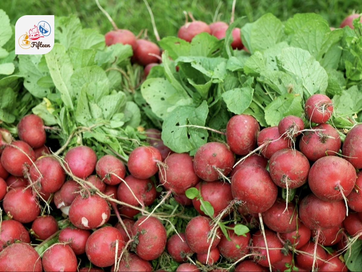 10 Main Types of Vegetables and Their Names with Pictures