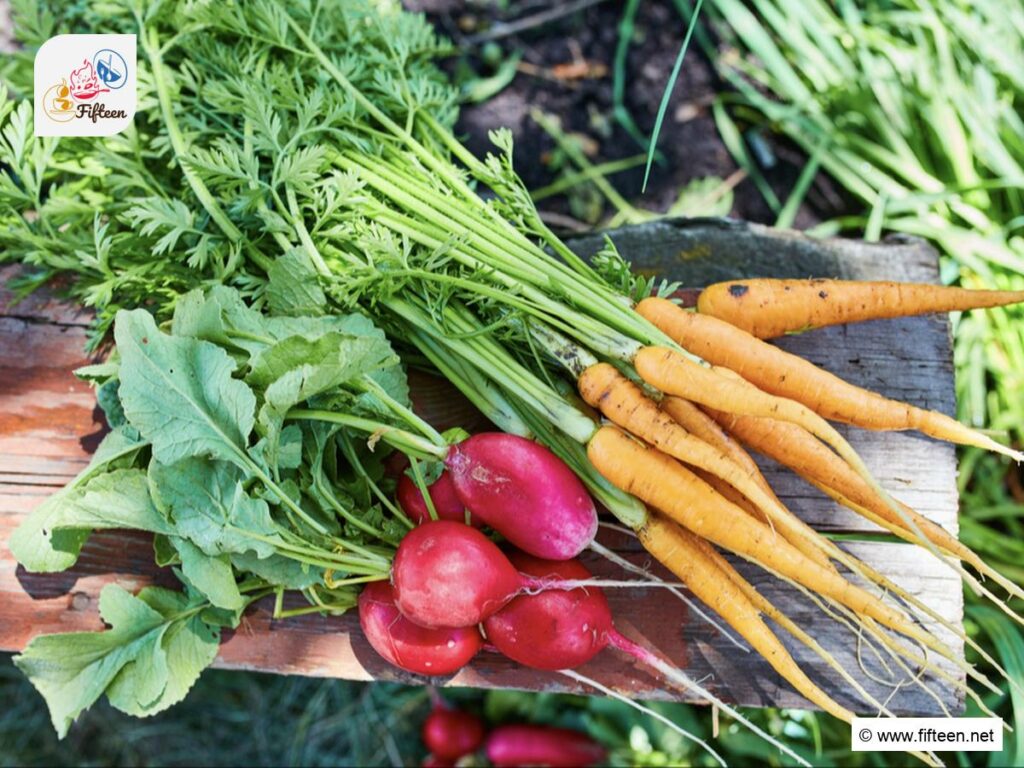 23 Best Spring Vegetables: Taste, Colors, and Usage