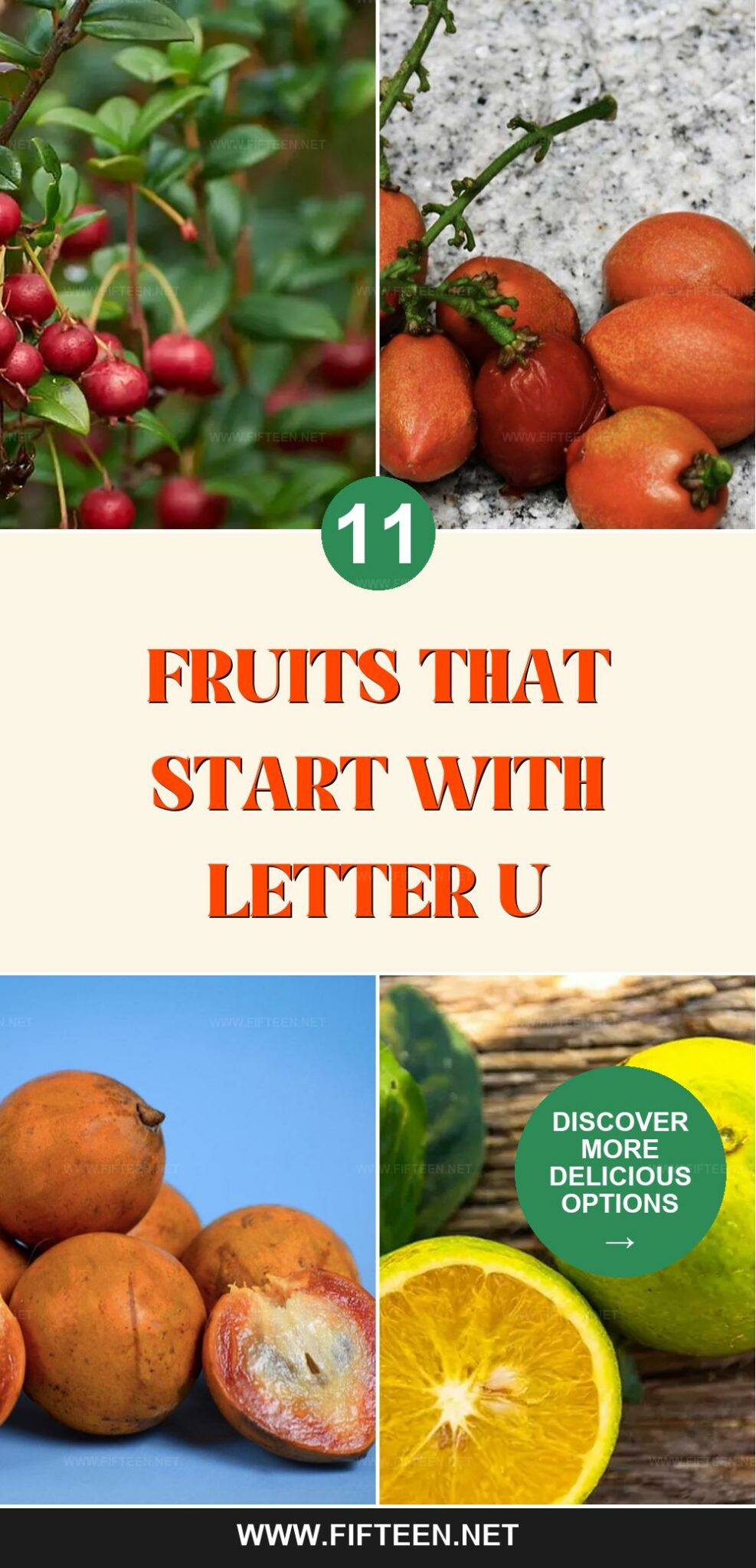 11 Popular and Exotic Fruits That Start With U