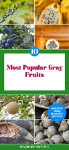 10 Exciting Gray Fruits with a Bonus Guide to Gray Vegetables