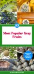 10 Exciting Gray Fruits with a Bonus Guide to Gray Vegetables