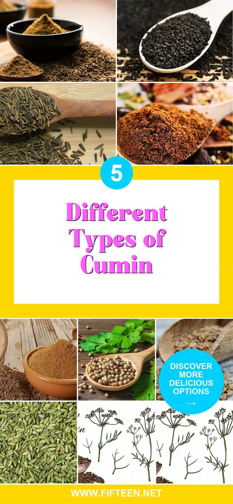 5 Different Types of Cumin You Should Know